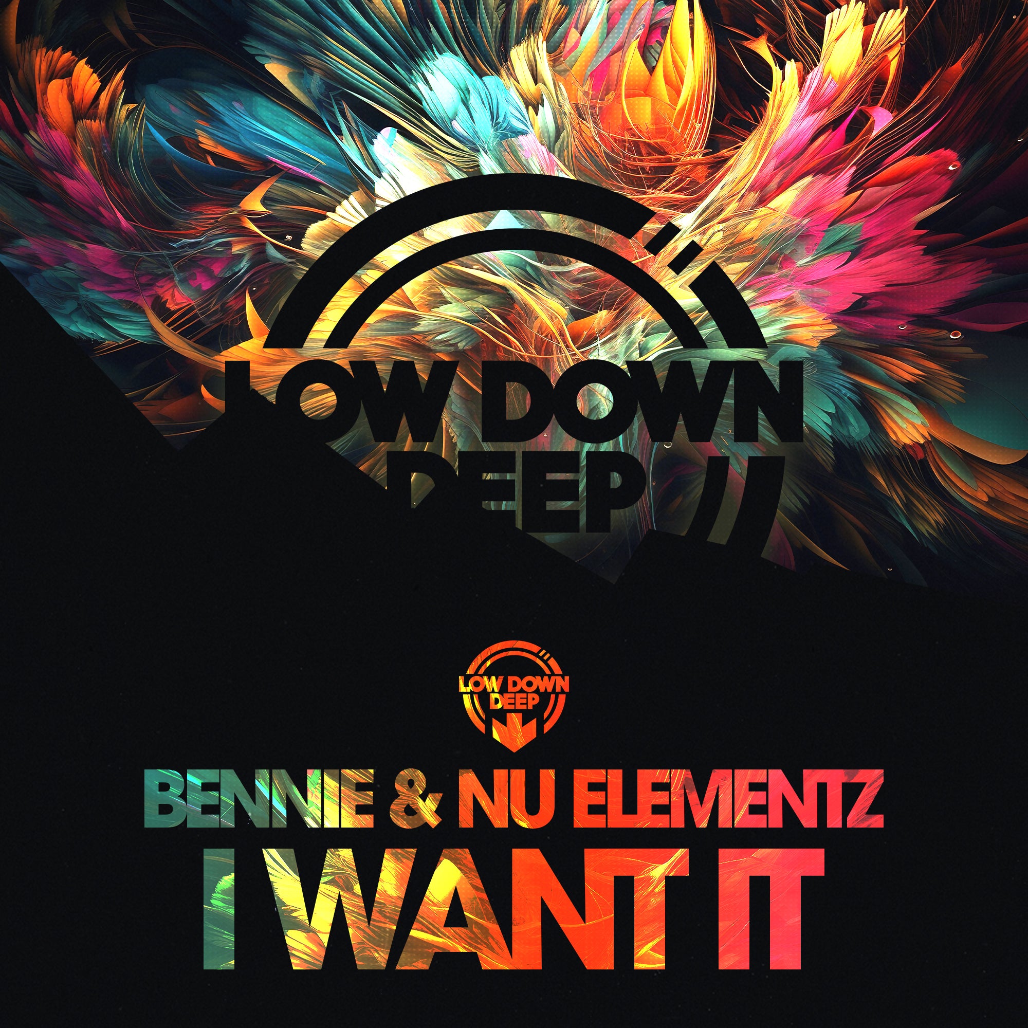 LDDR 228 - Bennie & Nu Elementz 'I Want It' – Low Down Deep